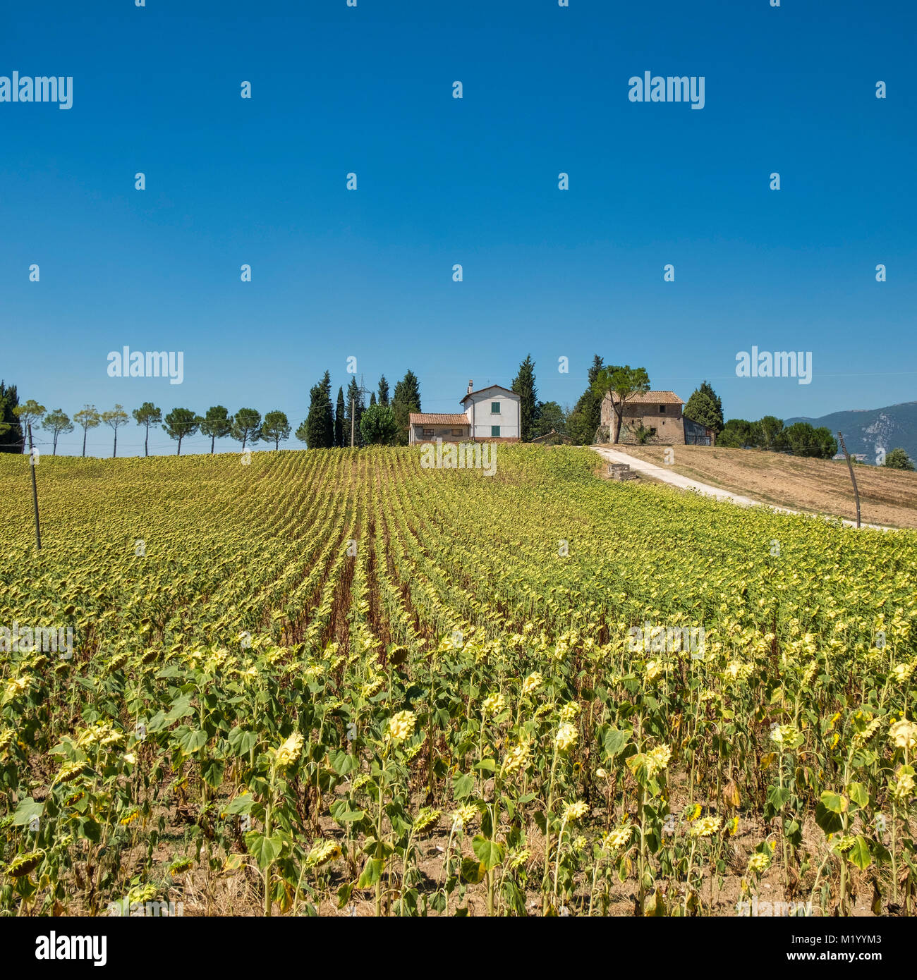 Typical farm along the road from Terni to Narni (Umbria, Italy). Summer ...