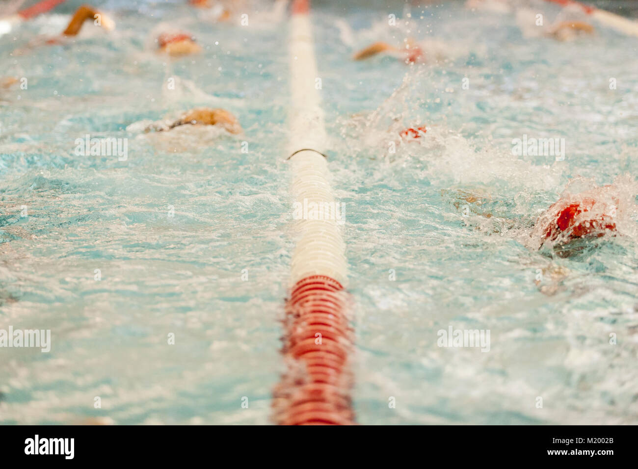 Swimmers warm up in an indoor pool. Motion Blur shows movement Stock ...
