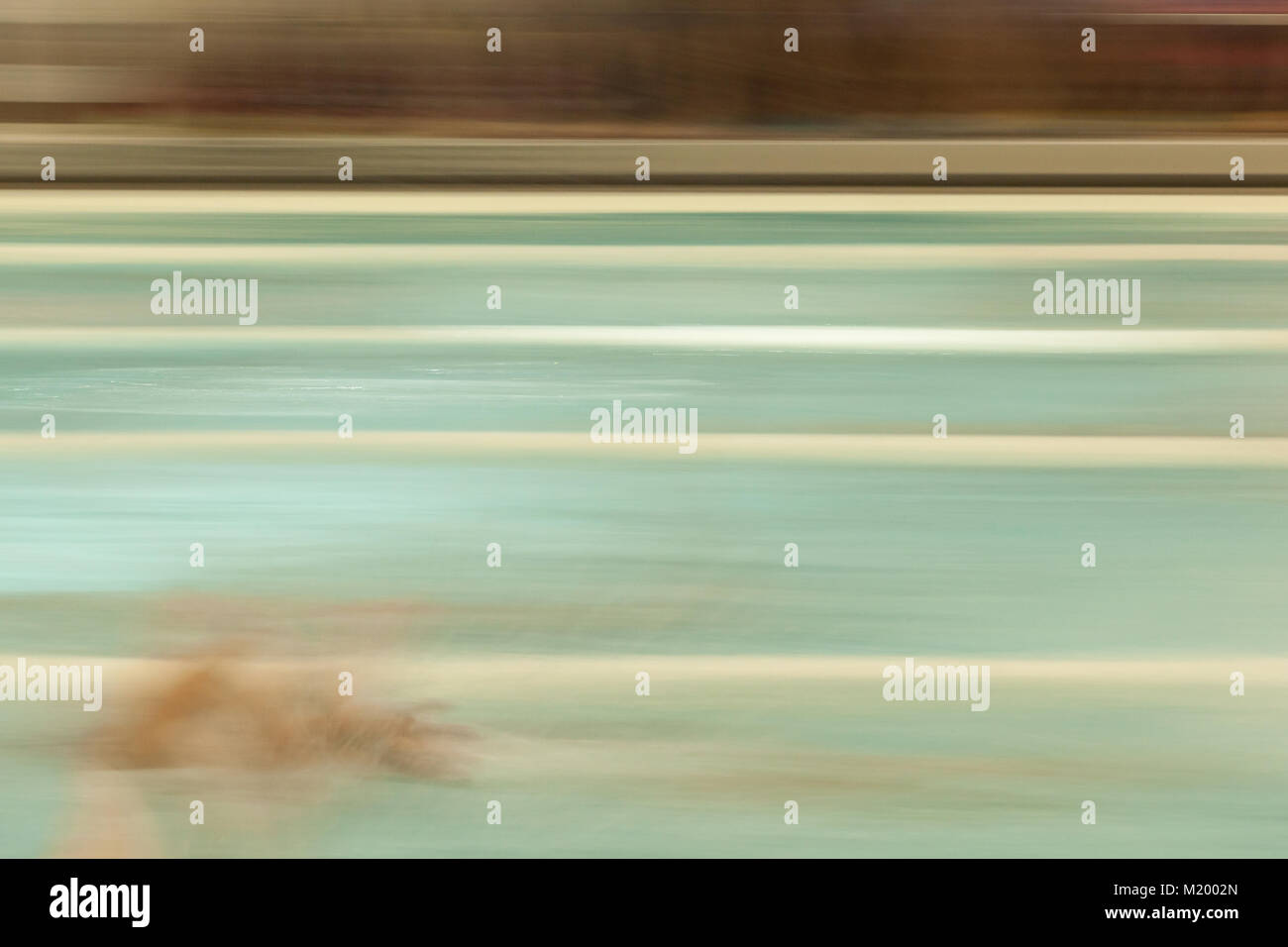 Motion is captured through a slow shutter speed and panning technique ...