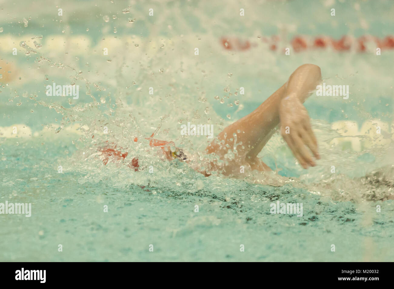 A swimmer swims freestyle at a swim competition Stock Photo - Alamy
