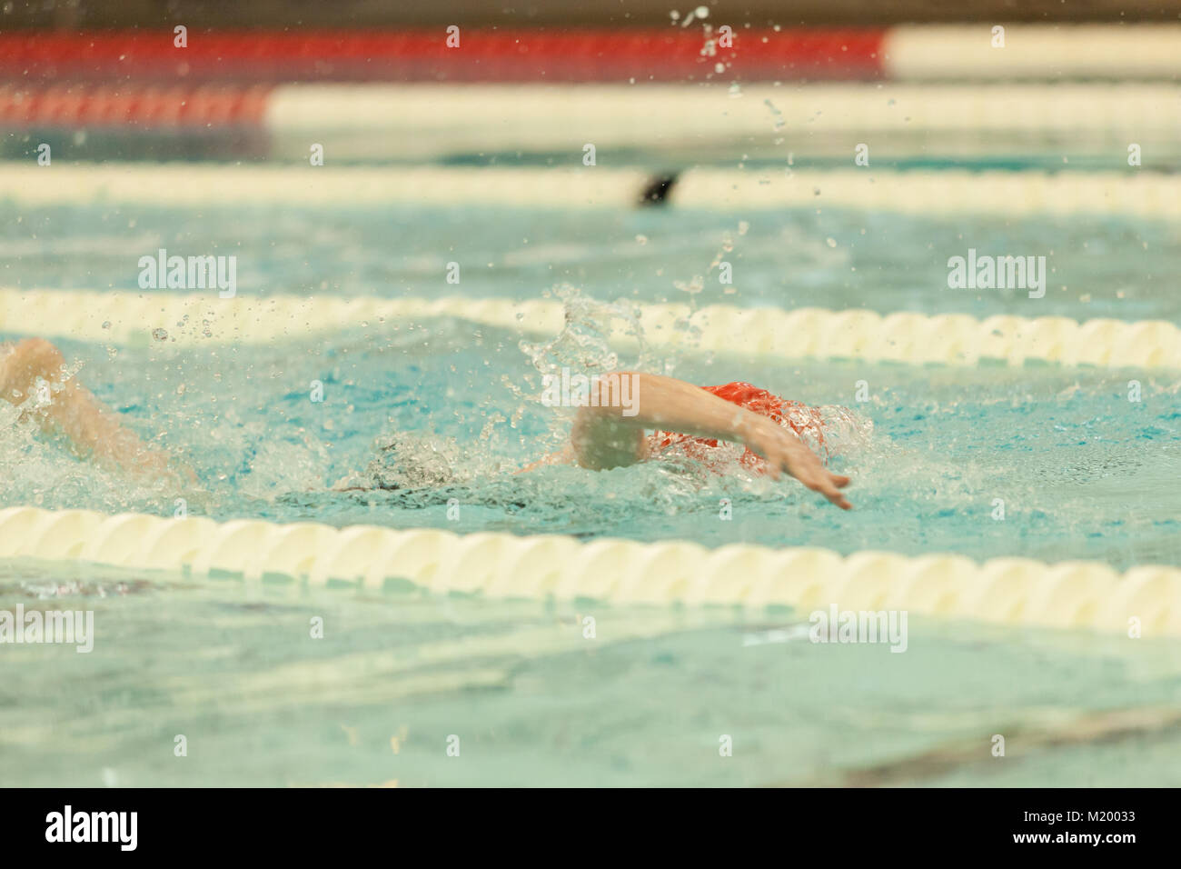 A swimmer swims freestyle at a swim competition Stock Photo - Alamy
