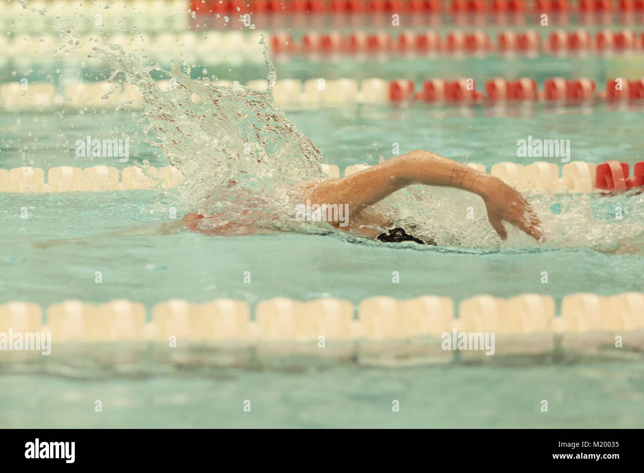 A swimmer swims freestyle at a swim competition Stock Photo - Alamy