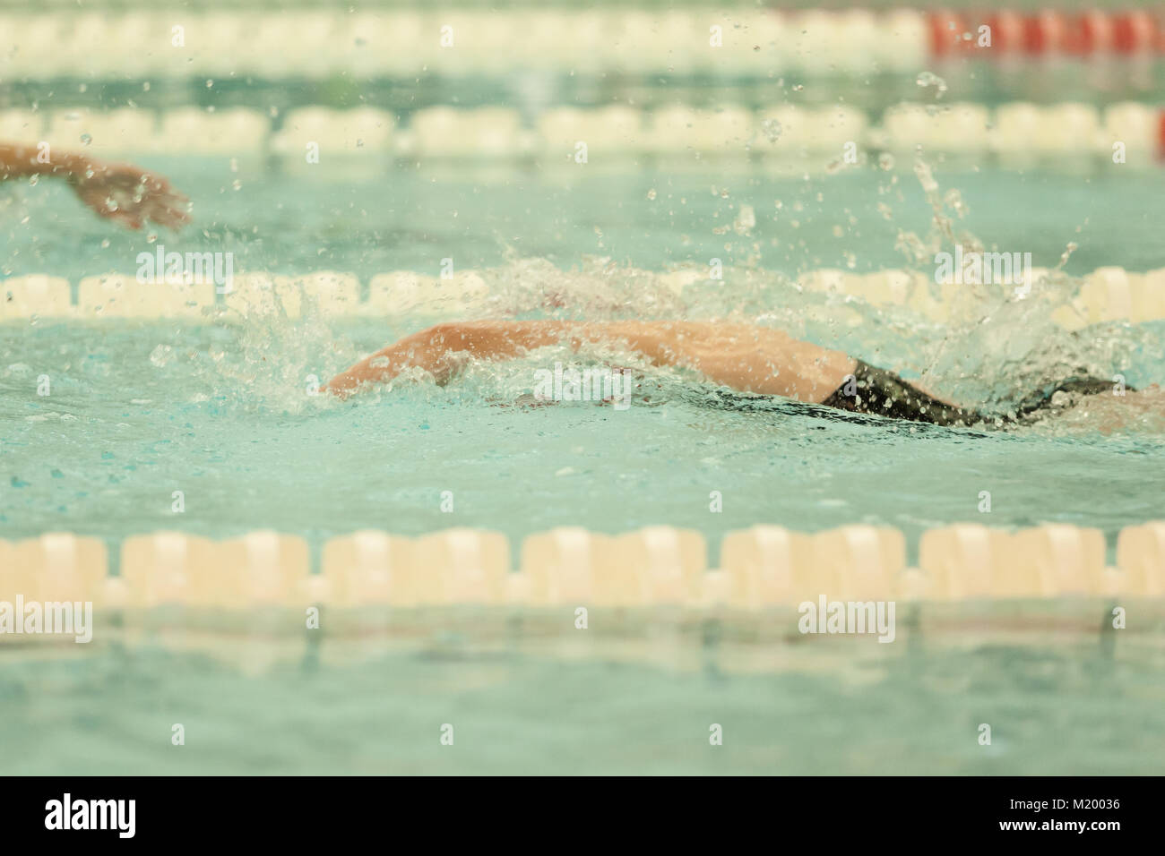 A swimmer swims freestyle at a swim competition Stock Photo - Alamy
