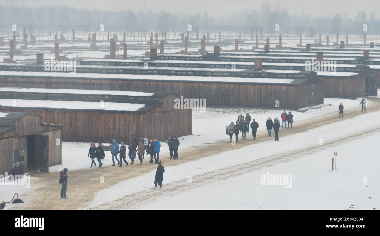 A winter view of Auschwitz II-Birkenau, a German Nazi concentration and ...