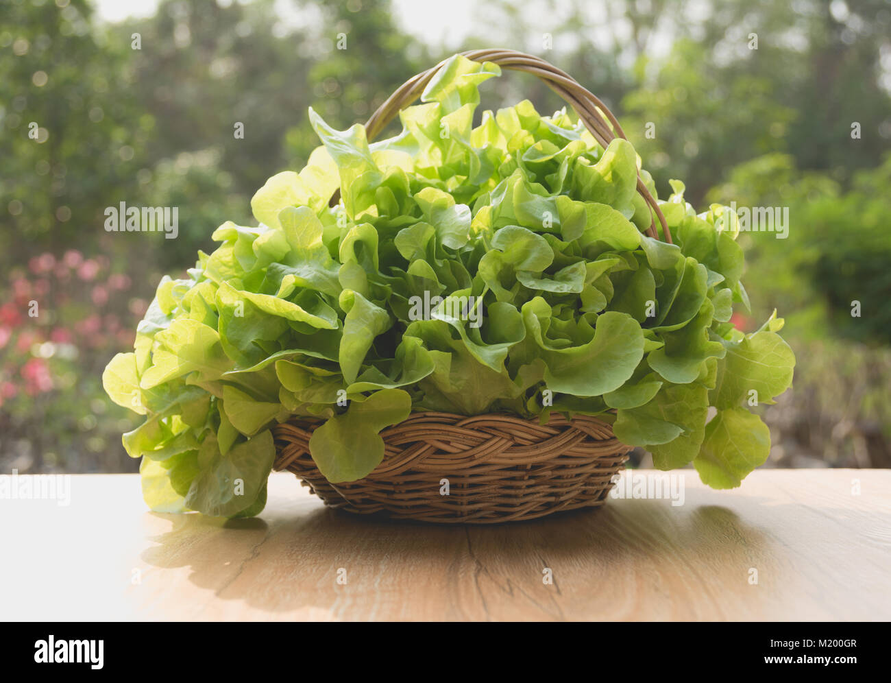 Raw fresh green vegetable in basket on table with nature background ...