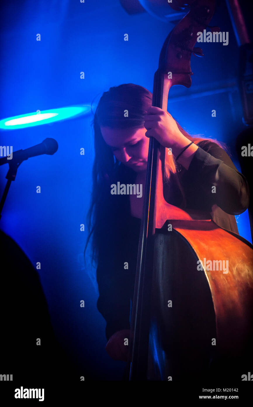 Norway, Bergen - December 1, 2017. The Norwegian rock band Yuma Sun ...