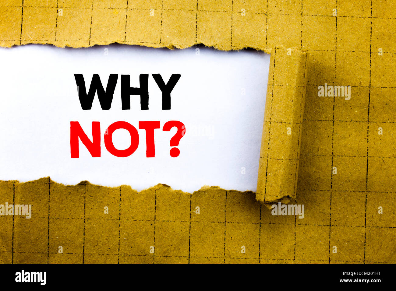 Word, writing Why Not Question. Business concept for Leadership ...