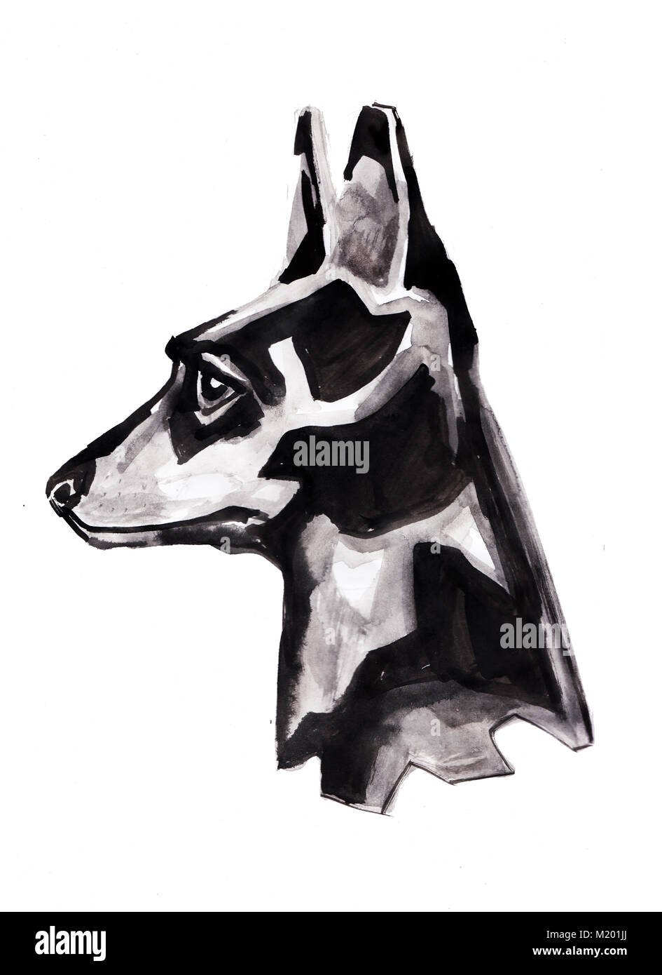 Doberman sketch Cut Out Stock Images & Pictures - Alamy