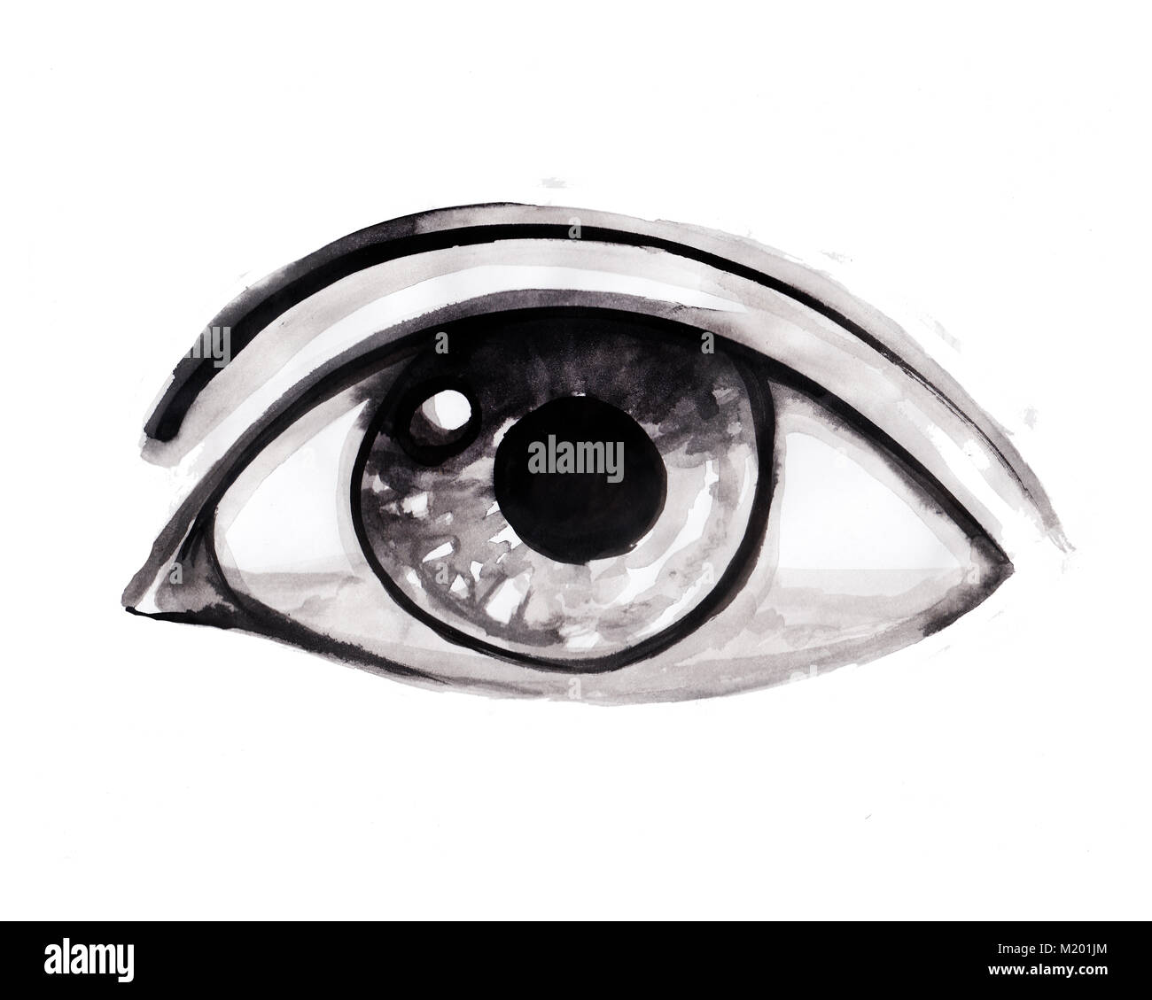 Hand drawn ink illustration or drawing of a human eye Stock Photo - Alamy