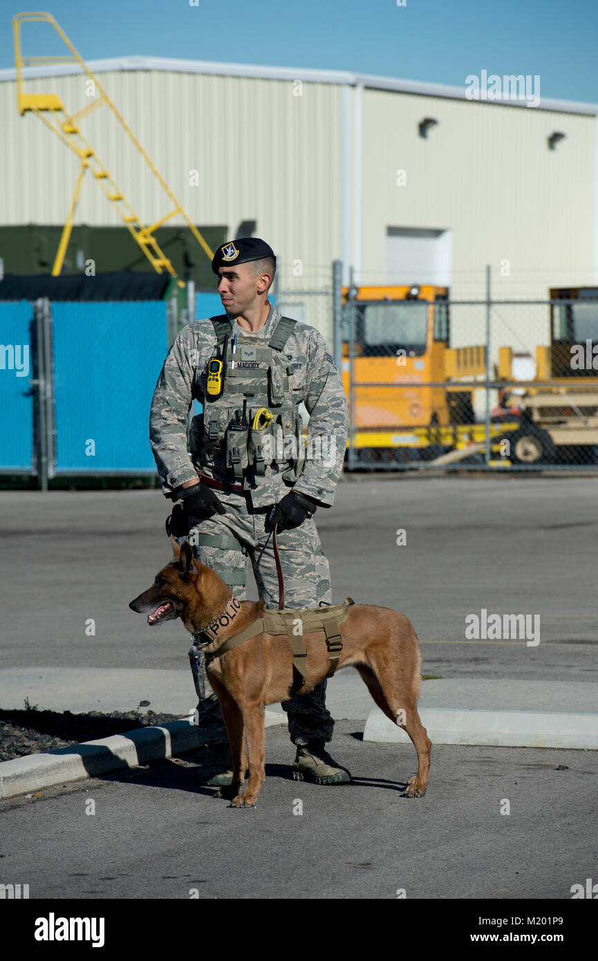 Police dog german shepherd hi-res stock photography and images - Alamy