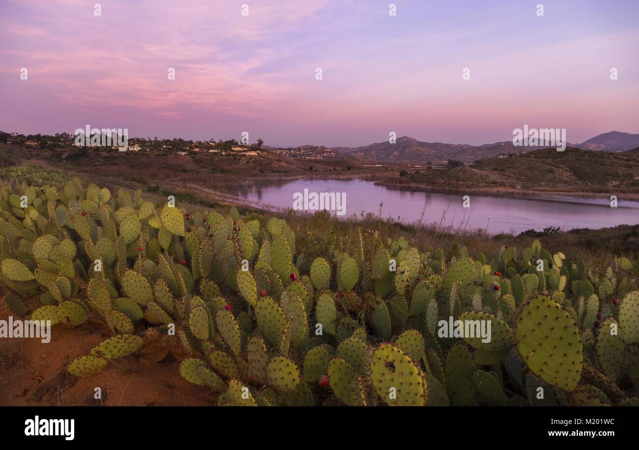 Scenic Sunset Landscape View Lake Hodges River Trail Green Desert ...