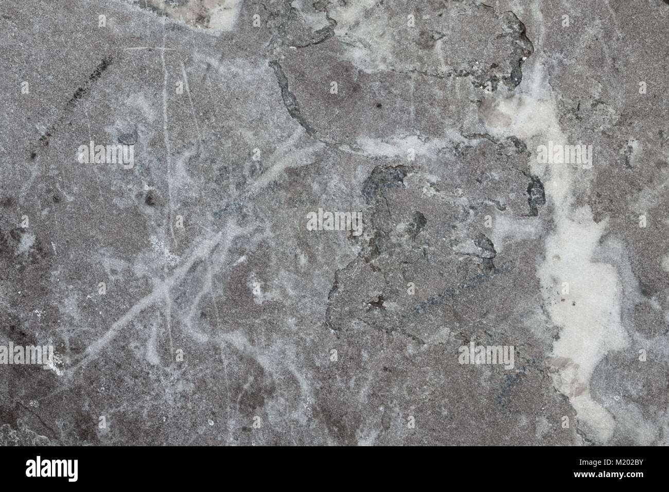 Grey marble slab with cracks and fine structures, ideal as background ...