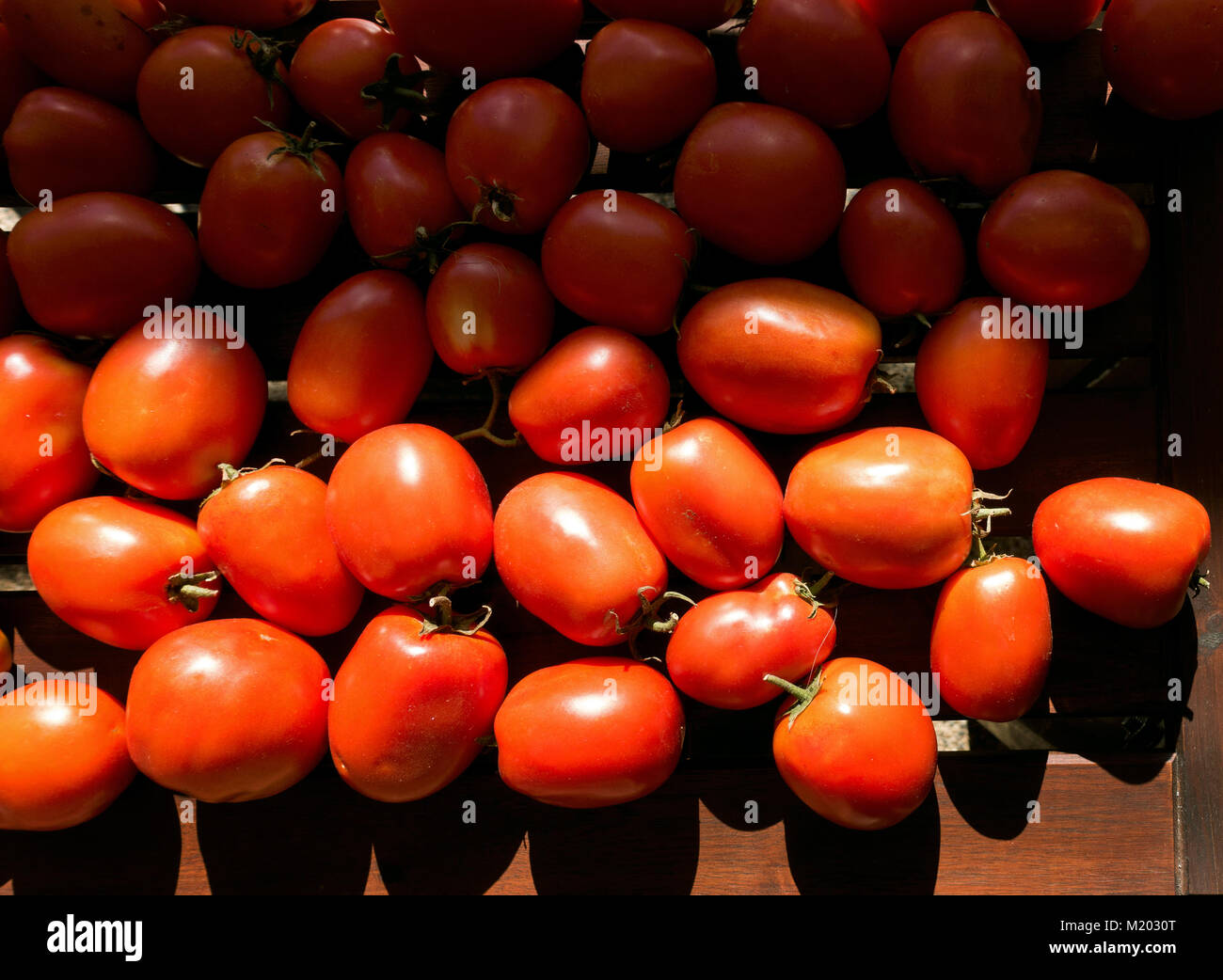 Roma tomatos hi-res stock photography and images - Alamy