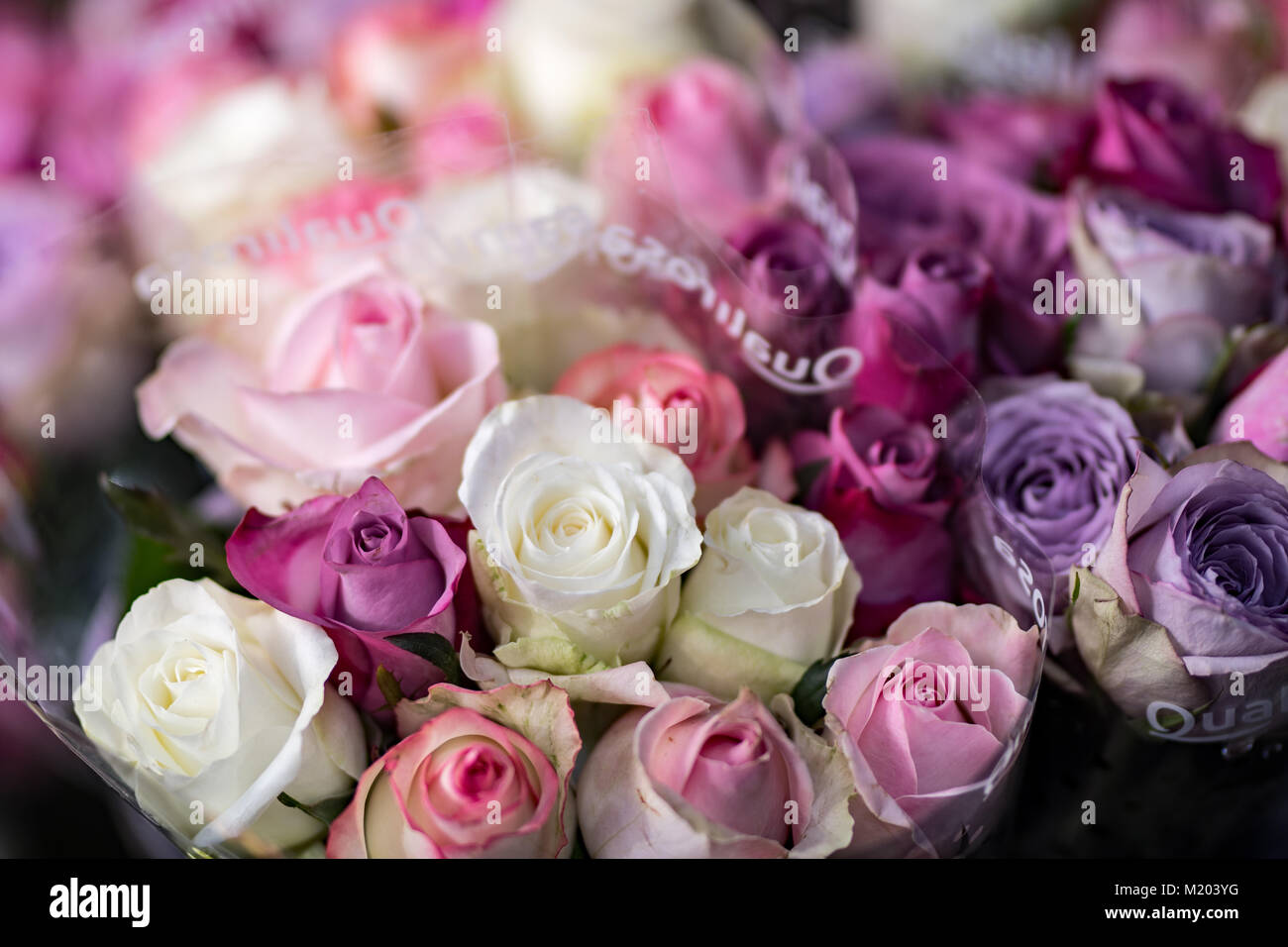Colorful rose bouquet Stock Photo - Alamy