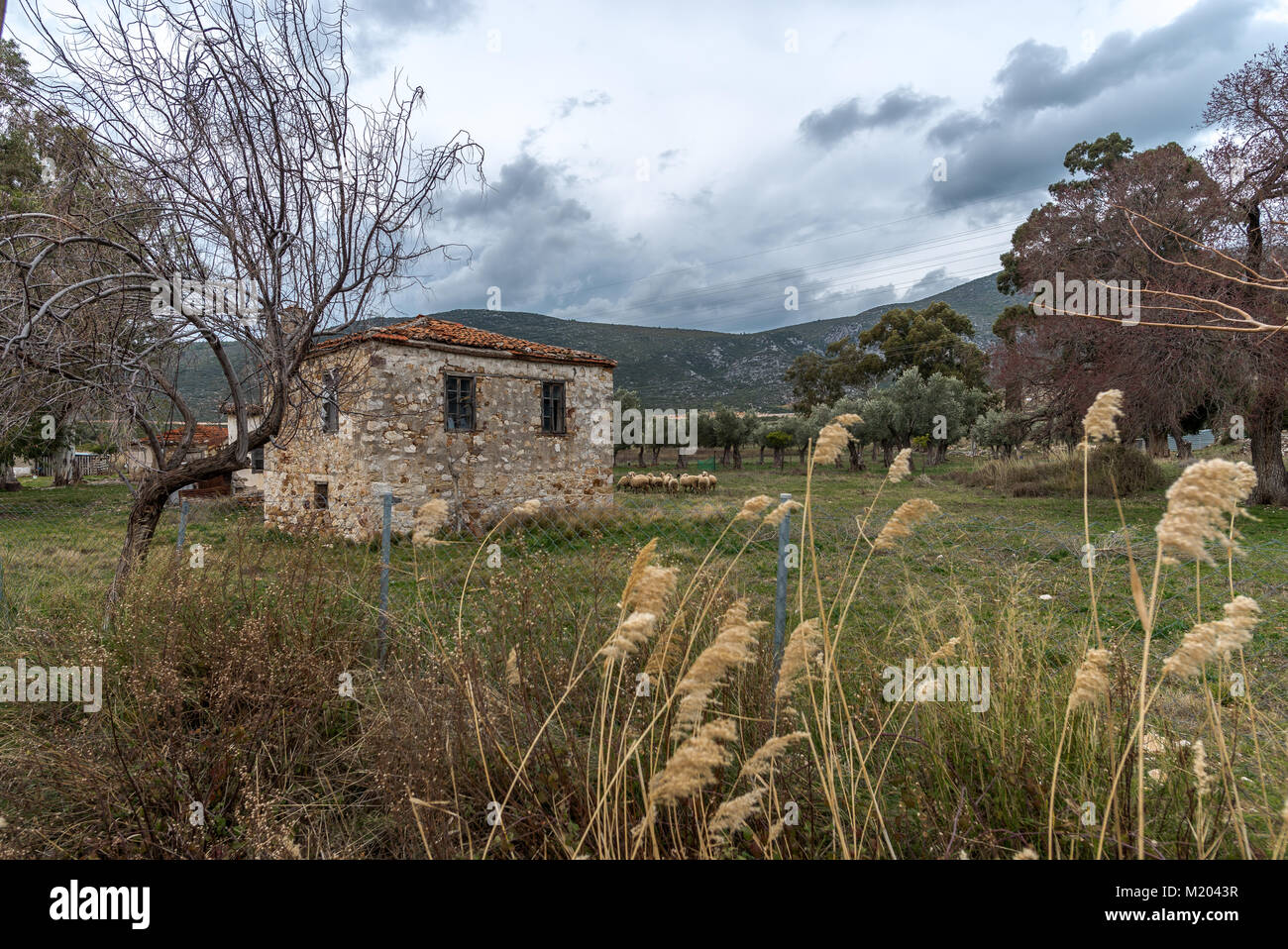Old stone farm house Stock Photo - Alamy