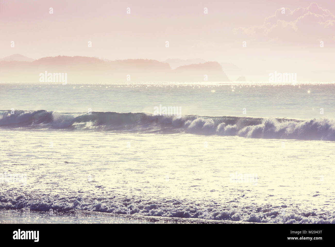 Beautiful tropical Pacific Ocean coast in Costa Rica Stock Photo - Alamy