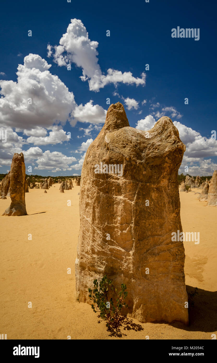 Limestone hoodoos created from seashells deposited in a much earlier ...