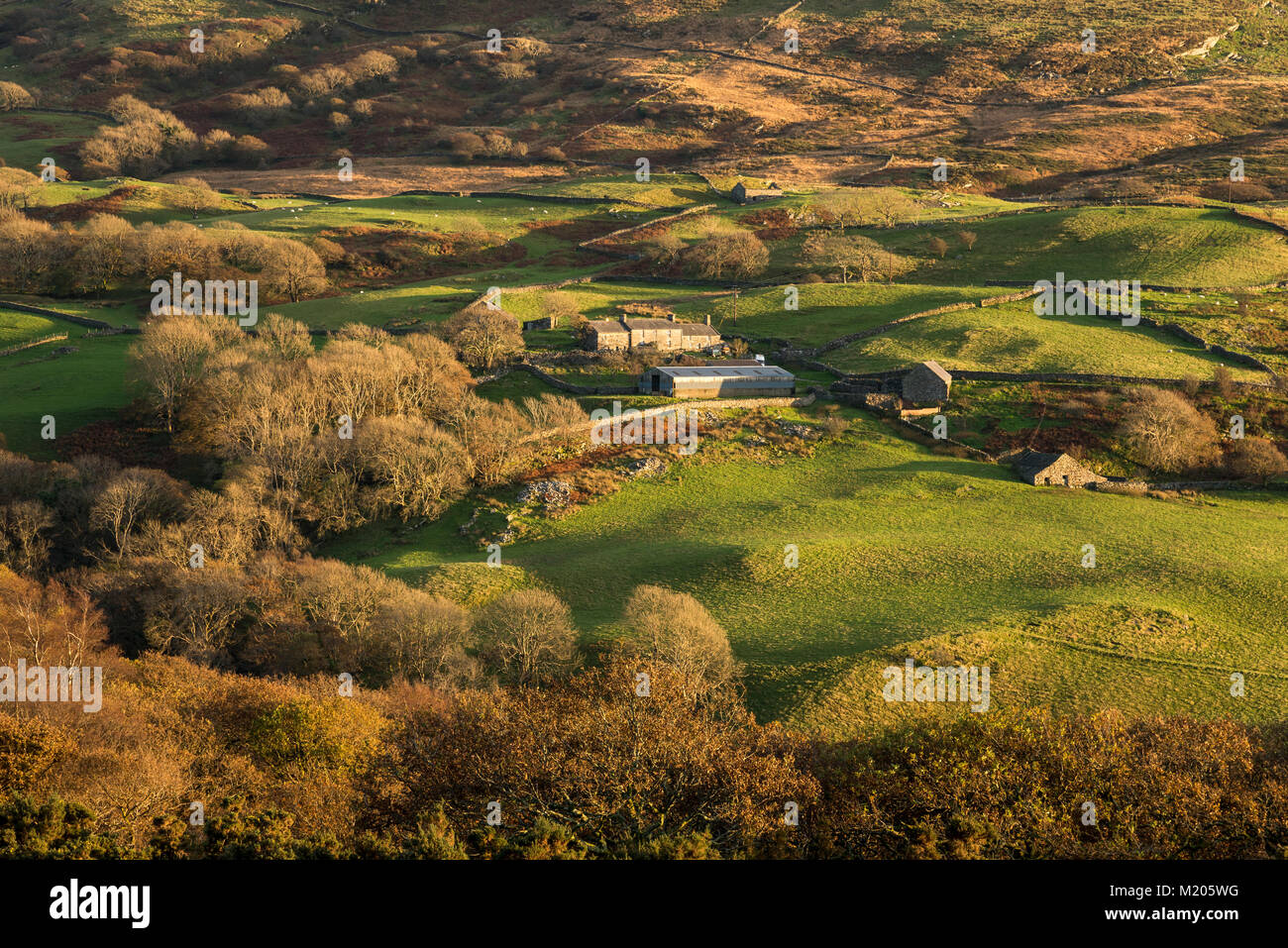 Bryn bwbach hi-res stock photography and images - Alamy