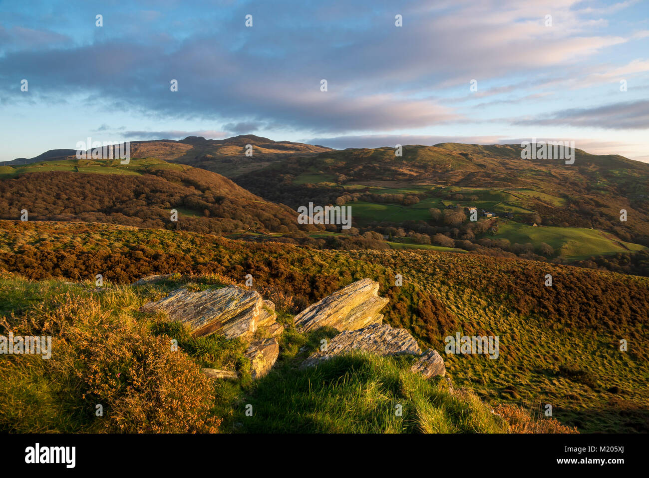 Rhinogs hi-res stock photography and images - Alamy