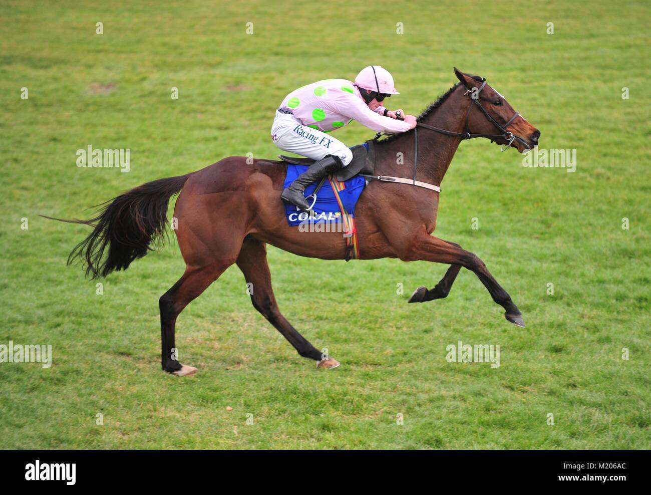Dublin racing festival mullins hi-res stock photography and images - Alamy
