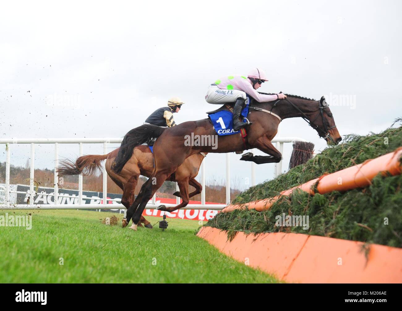 Dublin racing festival mullins hi-res stock photography and images - Alamy