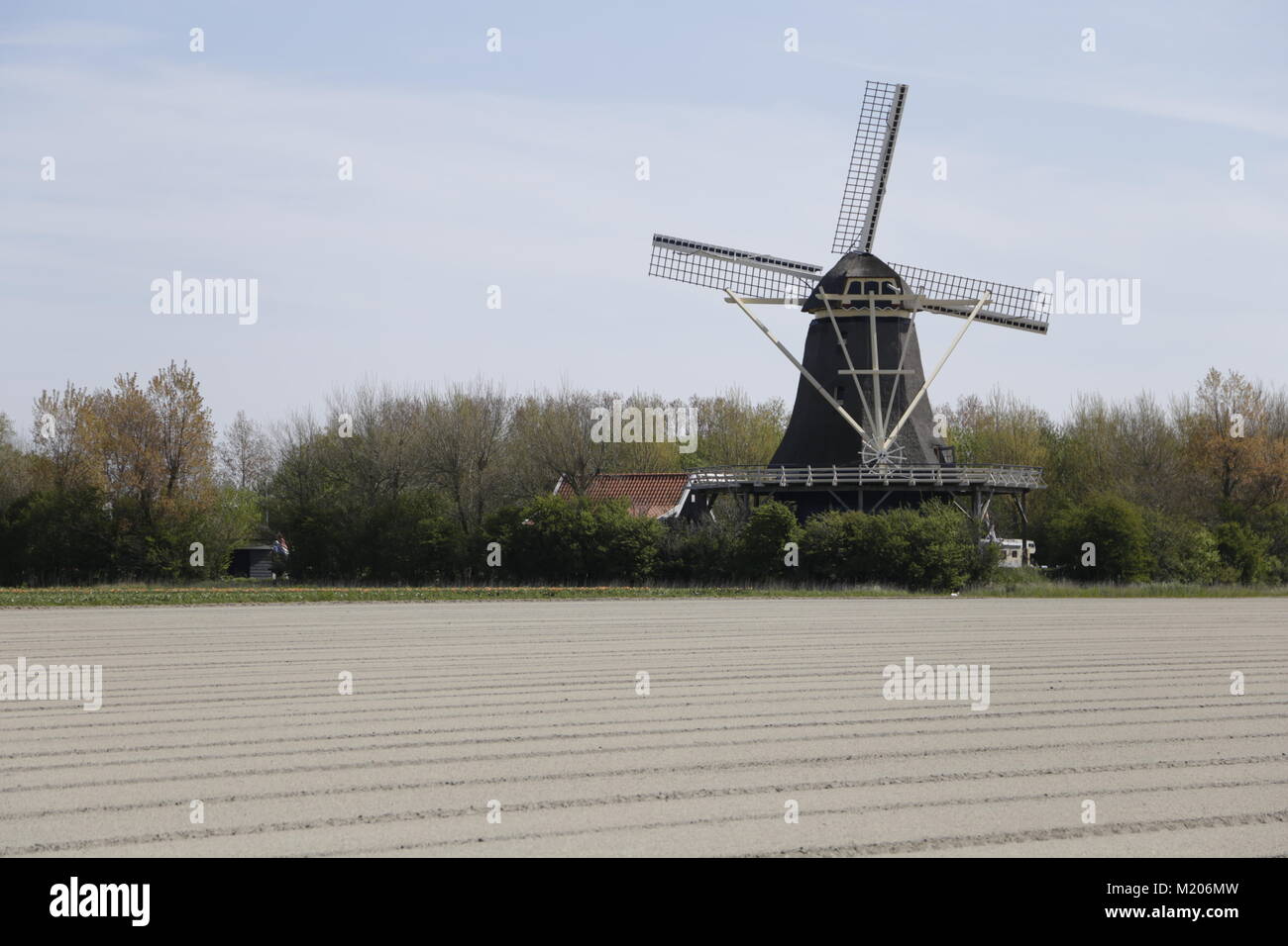 Windmill in a Dutch landscape Stock Photo - Alamy