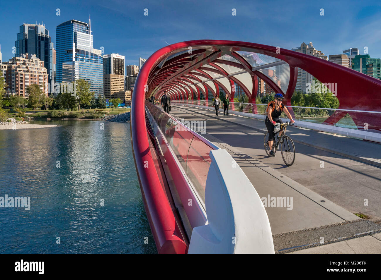 Biker at Peace Bridge, pedestrian bridge over Bow River near downtown ...