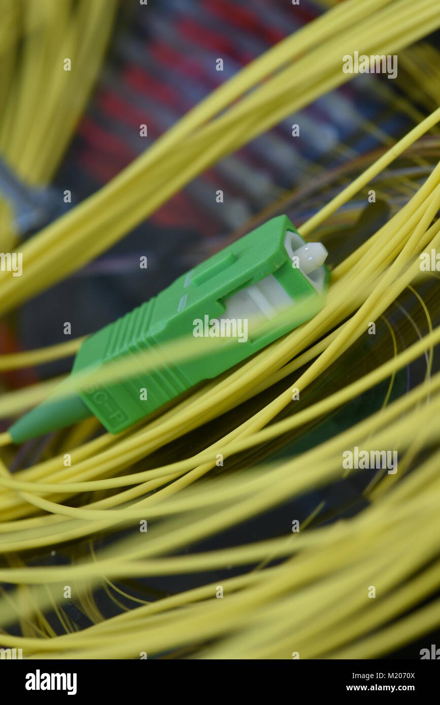 Optic fiber cable with connector closeup Stock Photo - Alamy