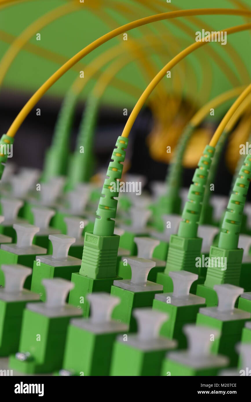 Optical distribution panels with fiber optical cable Stock Photo - Alamy