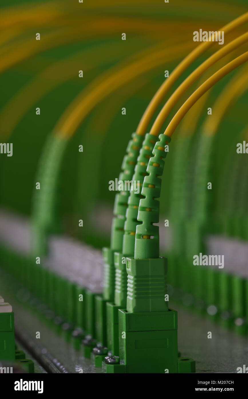 Optical distribution panels with fiber optical cable Stock Photo - Alamy