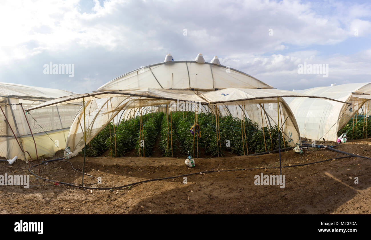Jordan Valley Farm Stock Photos & Jordan Valley Farm Stock Images - Alamy
