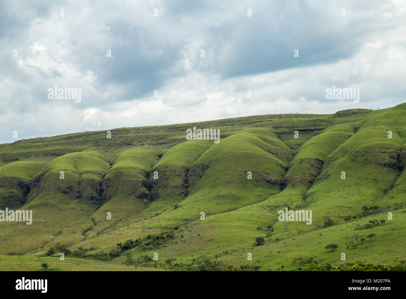 National park serra canastra brazil Stock Photo - Alamy