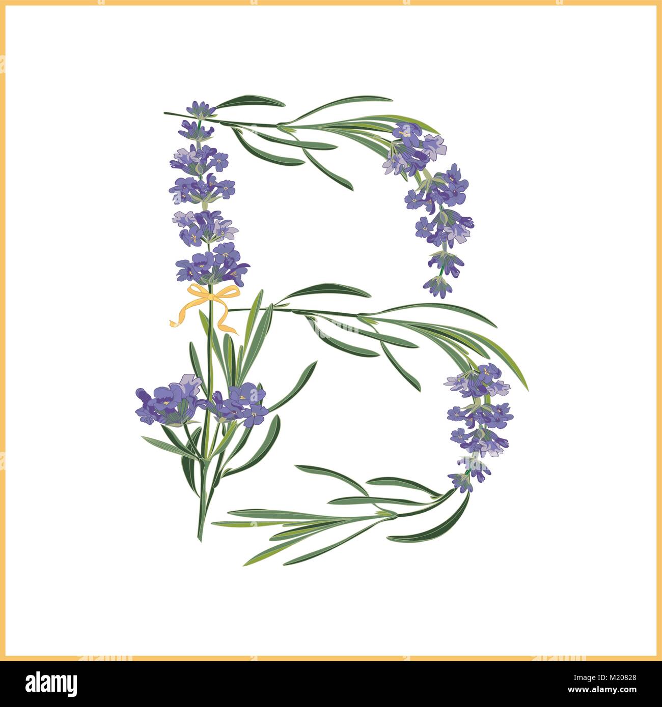 Lavender b Stock Vector Images - Alamy