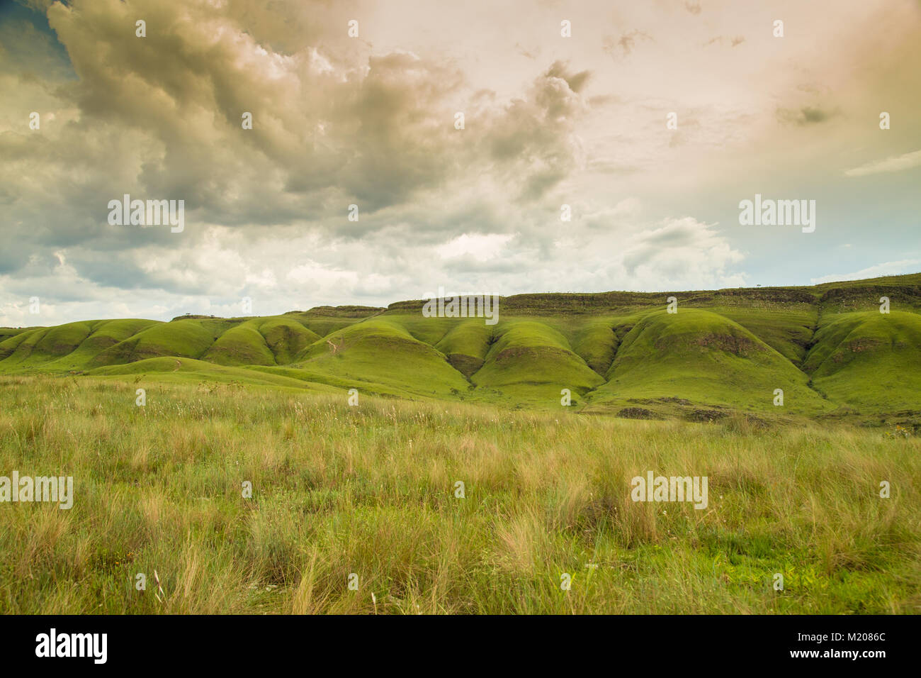 National park serra canastra brazil Stock Photo - Alamy