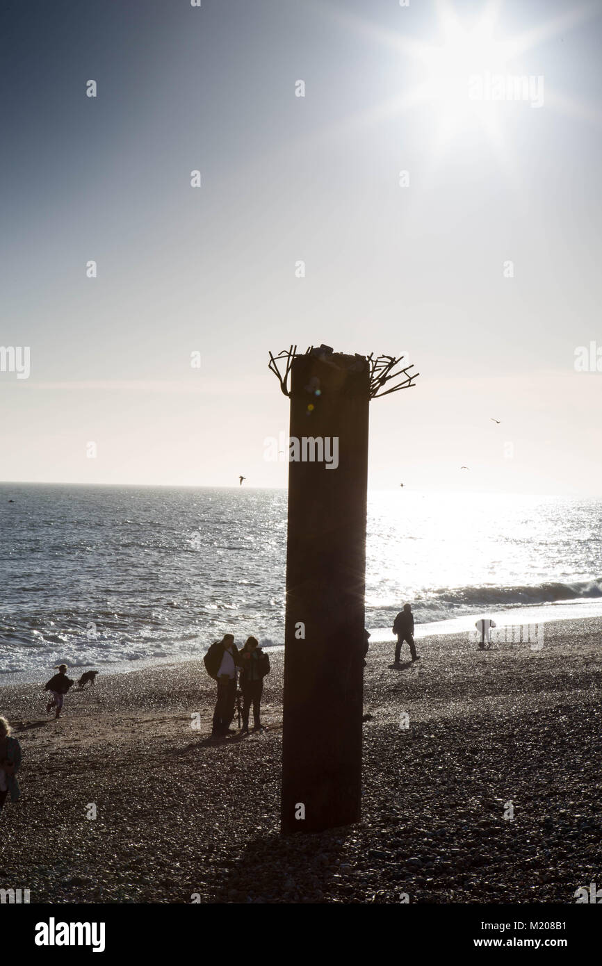 Brighton beach sunset and i360 Stock Photo - Alamy