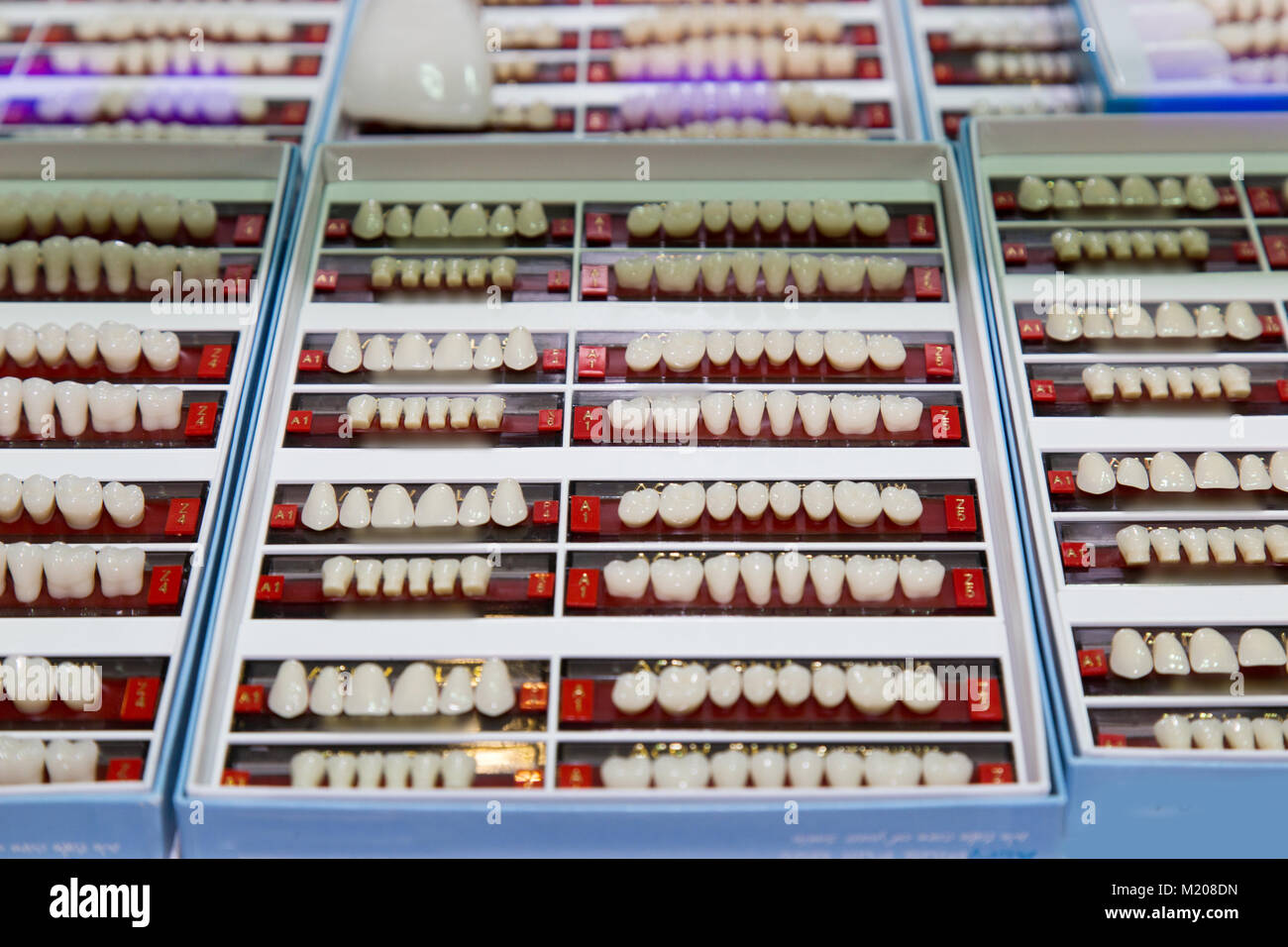 close up to pivot tooth for dental surgery Stock Photo - Alamy