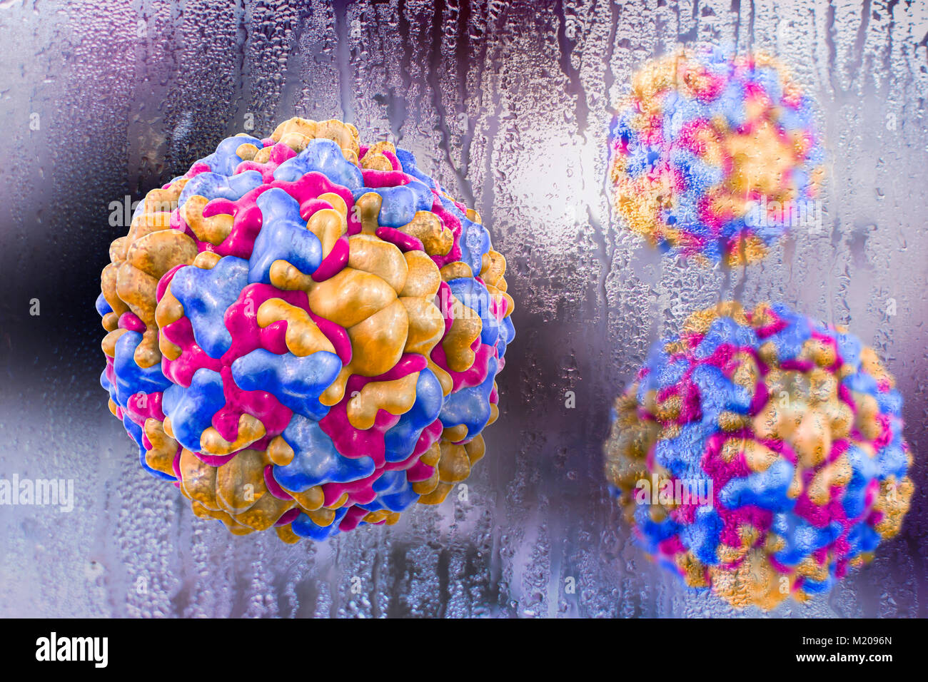 Rhinoviruses, conceptual illustration. Rhinoviruses belong to common ...