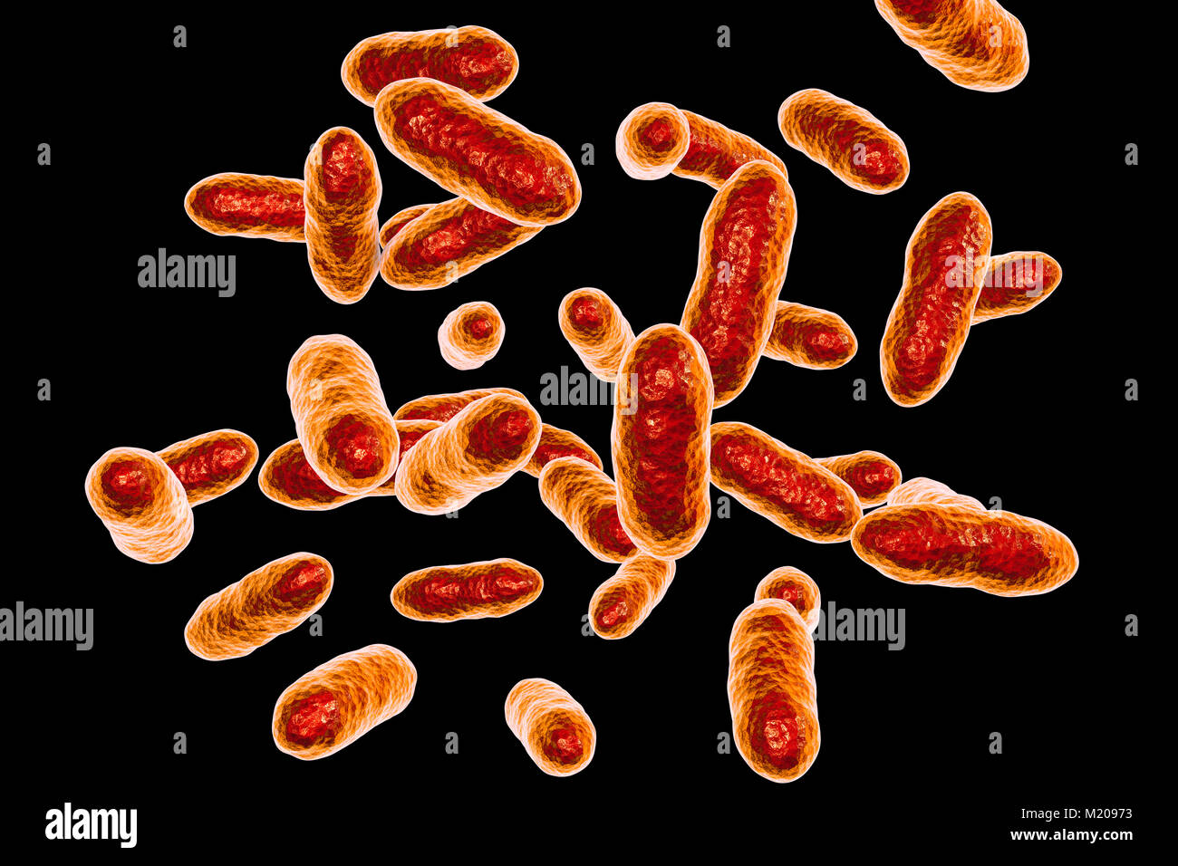 Tannerella forsythia bacteria, computer illustration. This anaerobic ...