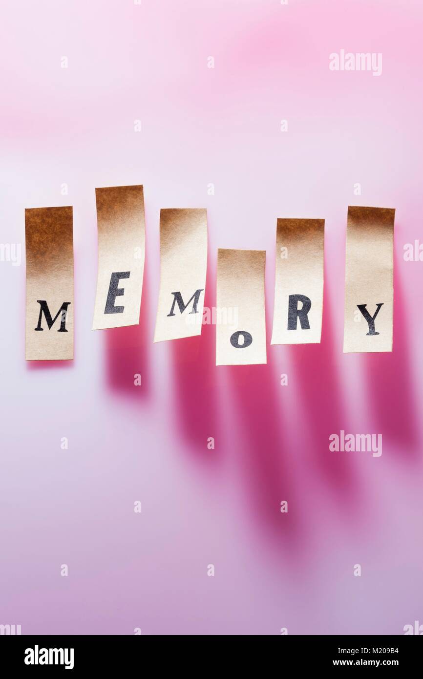 Pieces of paper with the word memory, studio shot Stock Photo - Alamy