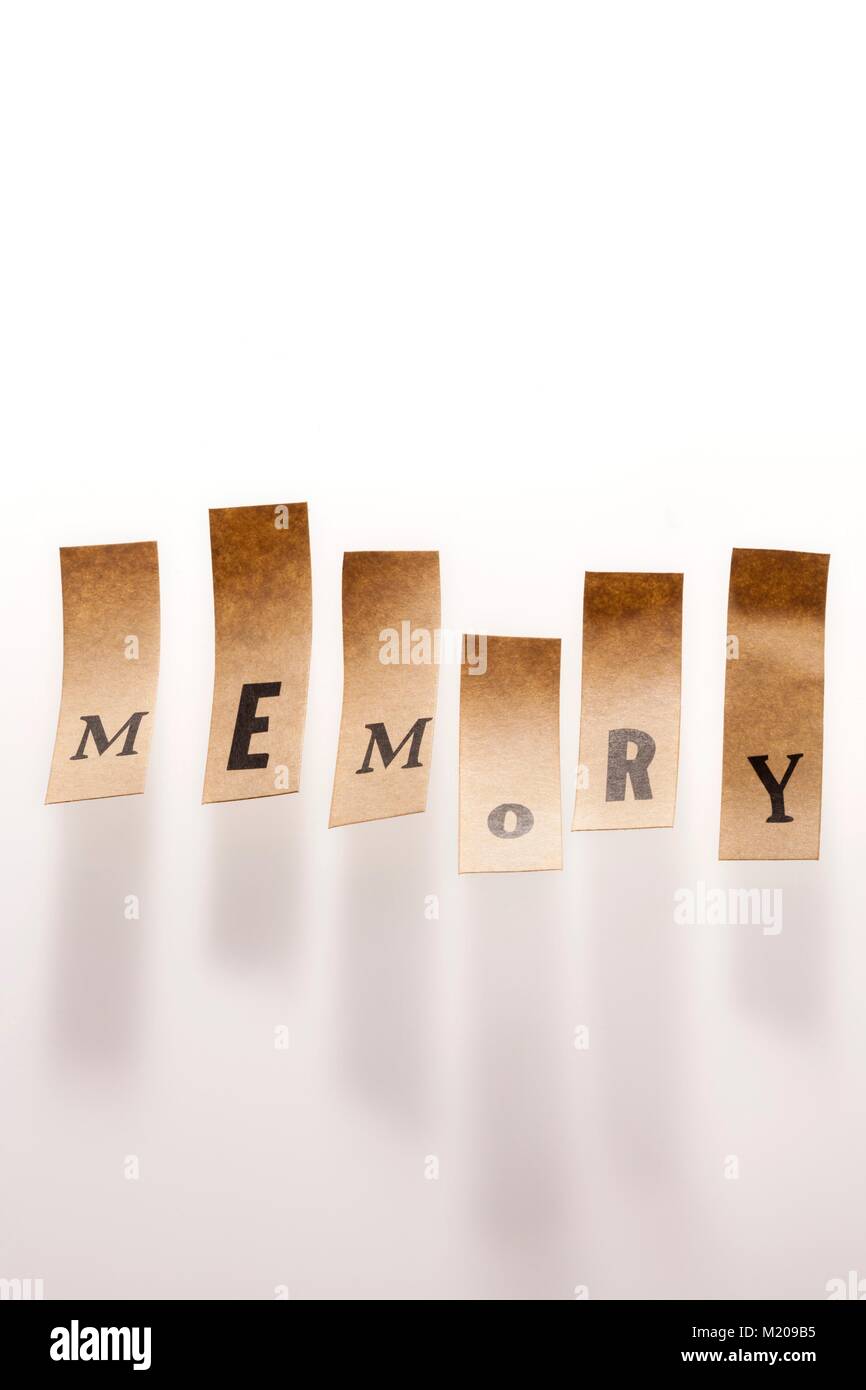 Pieces of paper with the word memory, studio shot Stock Photo - Alamy