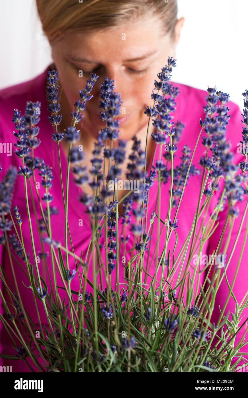 MODEL RELEASED. Woman with lavender, studio shot Stock Photo - Alamy