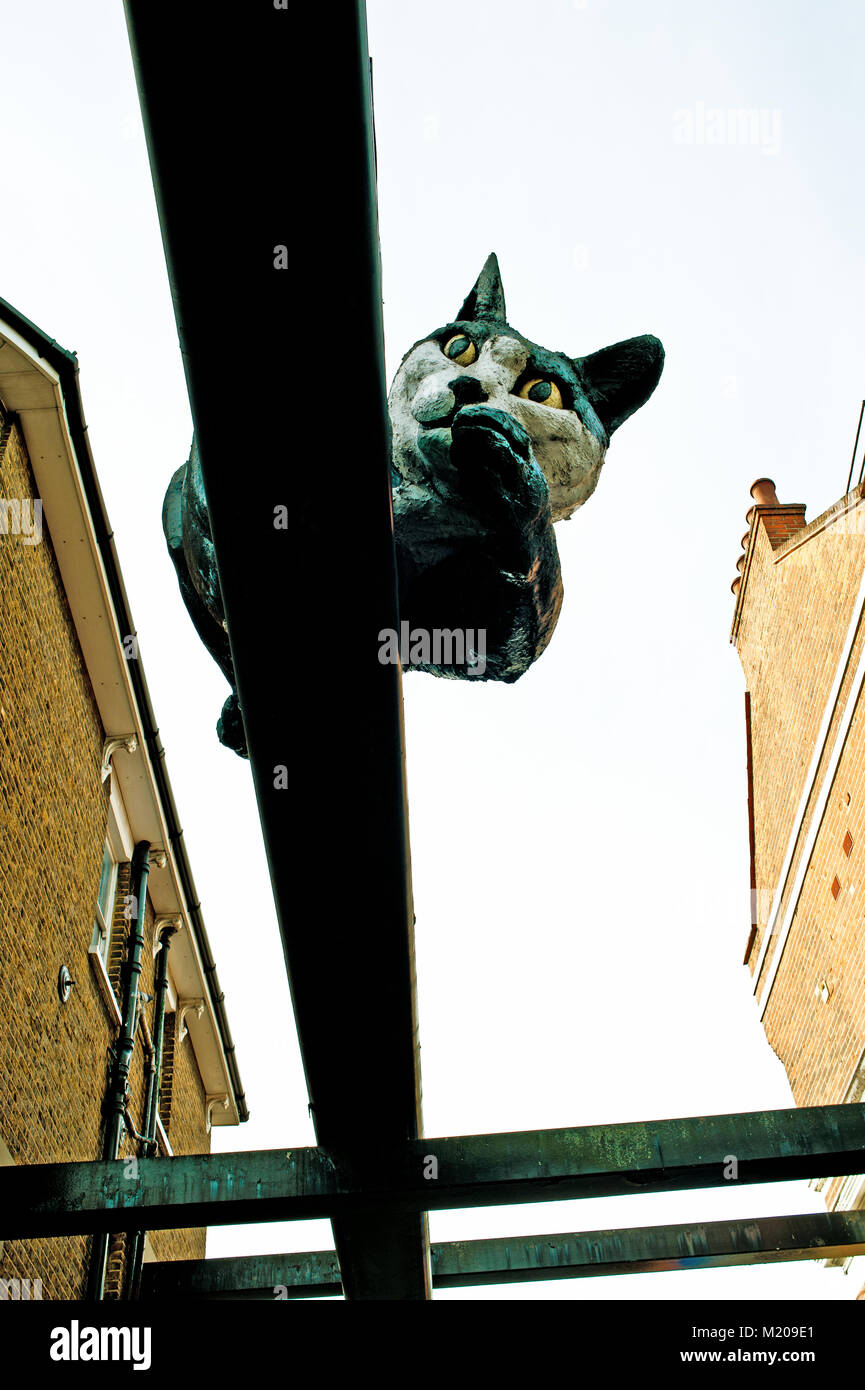 Catford cat hi-res stock photography and images - Alamy