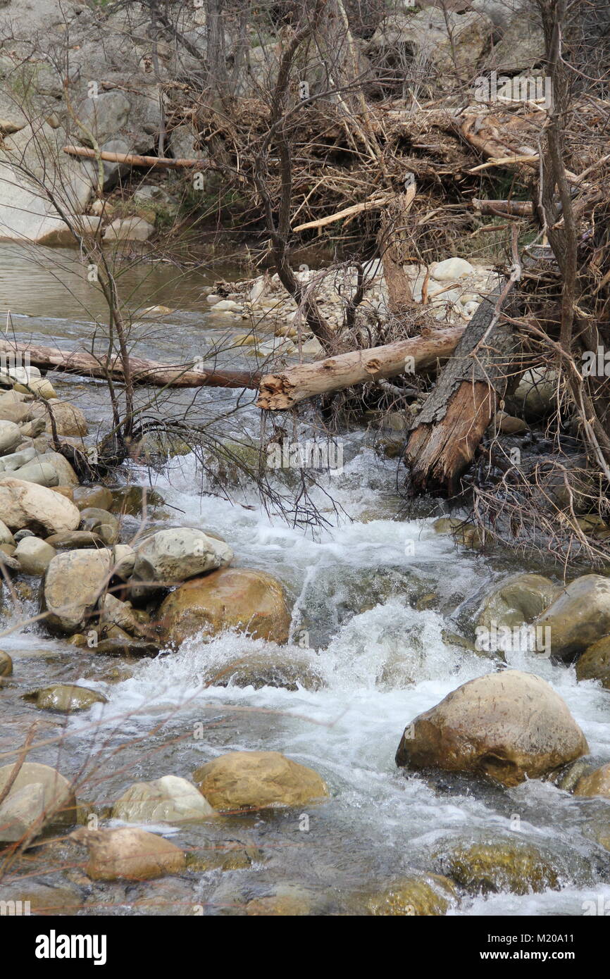 River flowing over rocks and branches Stock Photo - Alamy