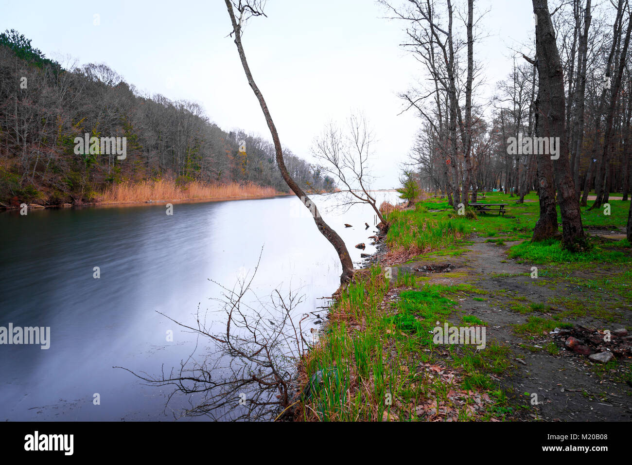 Long exposure forest view with silky river and dynamic colored forest ...