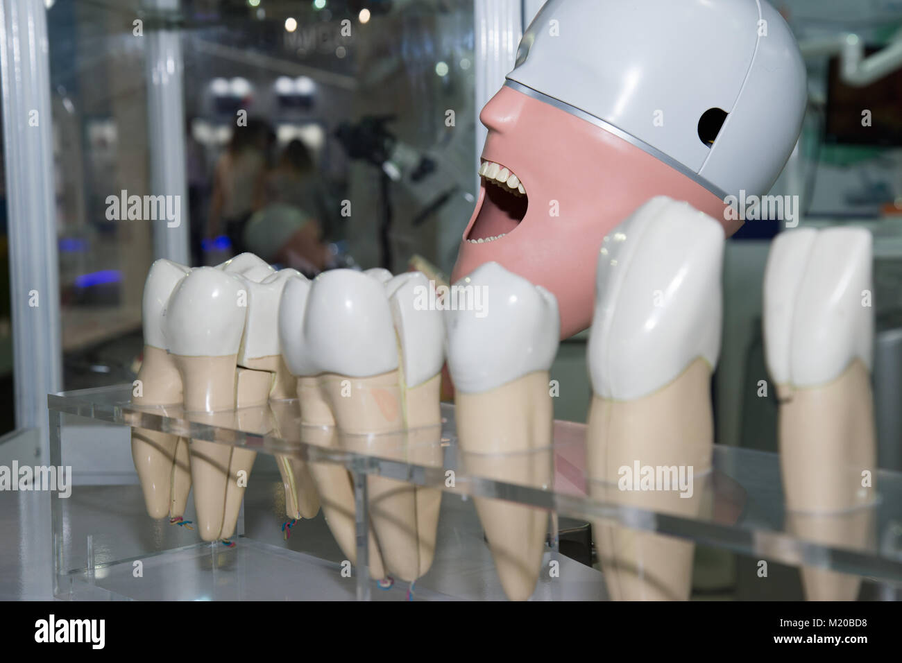 close up to pivot tooth for dental surgery Stock Photo - Alamy
