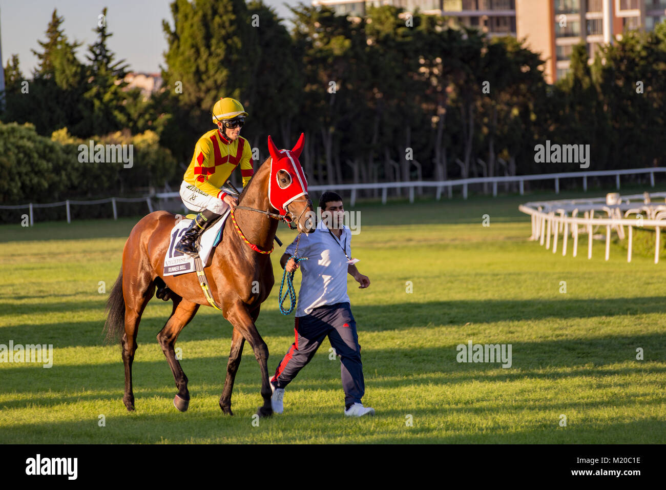 Istanbul horse race hi-res stock photography and images - Alamy