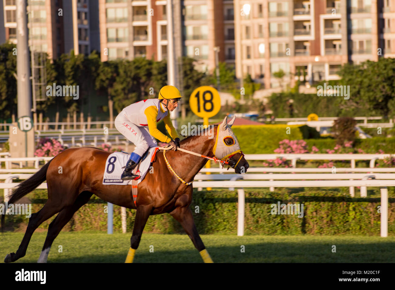 Istanbul, June 25, 2017; Gazi run view from Turkey, Most known Horse ...