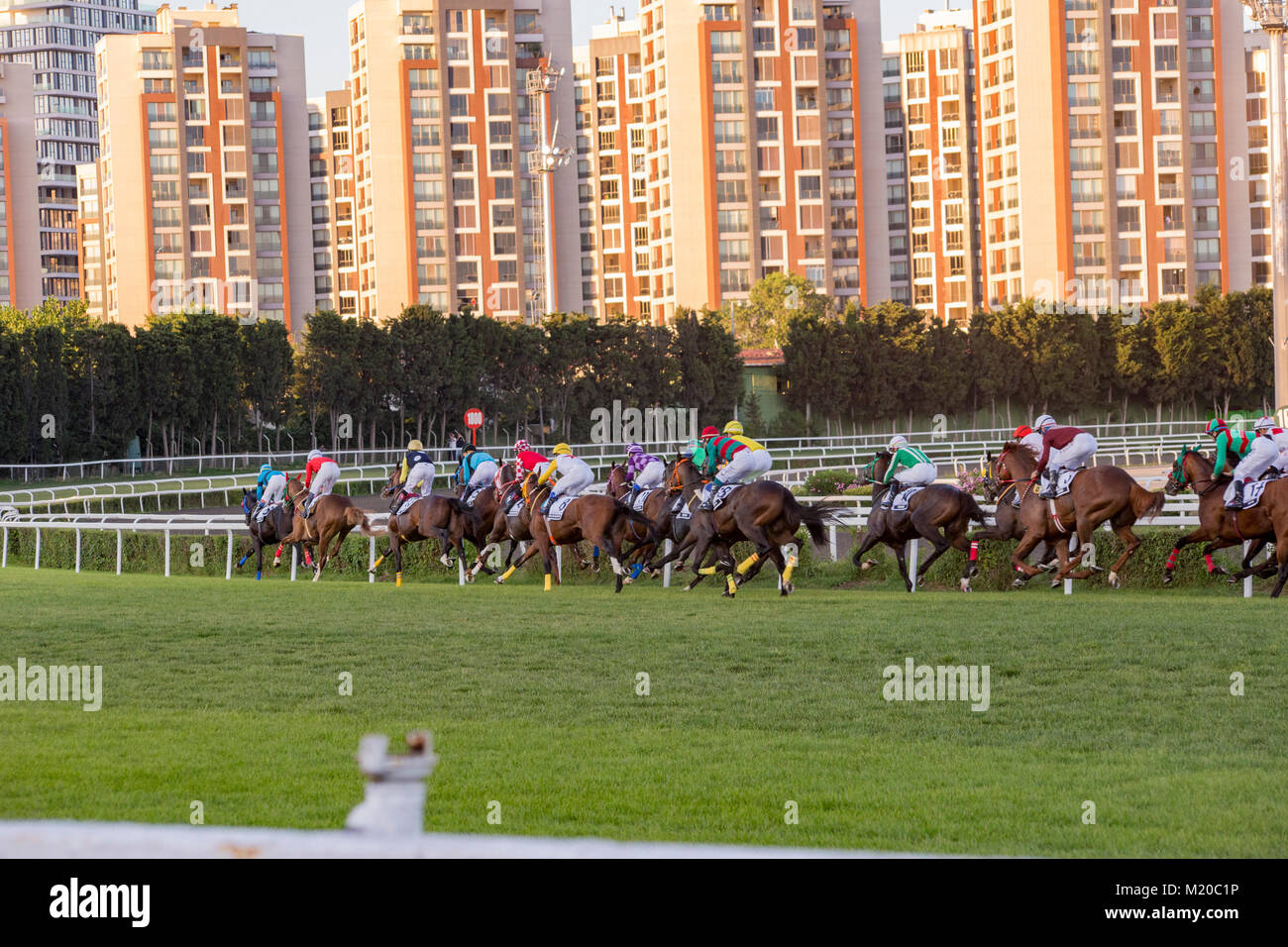 Istanbul, June 25, 2017; Gazi run view from Turkey, Most known Horse ...