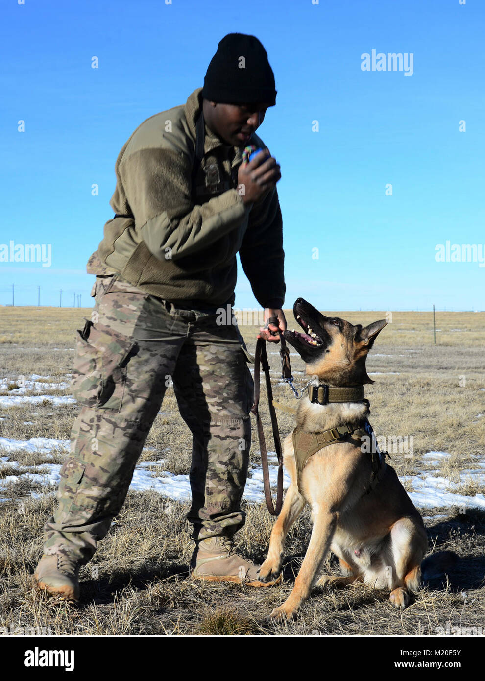 Security forces k9 handler dog hi-res stock photography and images - Alamy