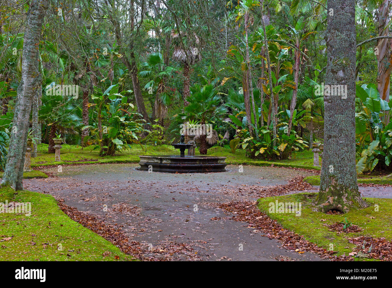 A fountain surrounded by pine and palm trees and small planter vases on ...